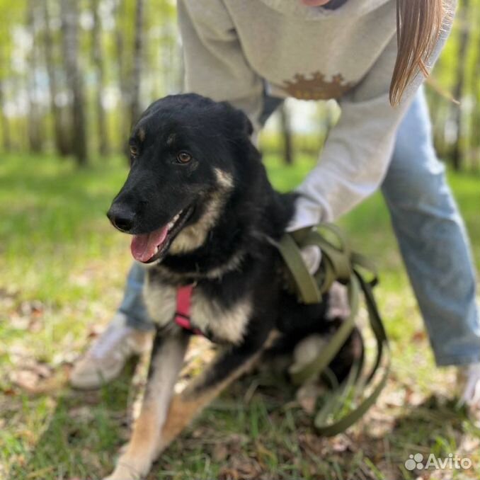 Милый славный парень очень ждет семью