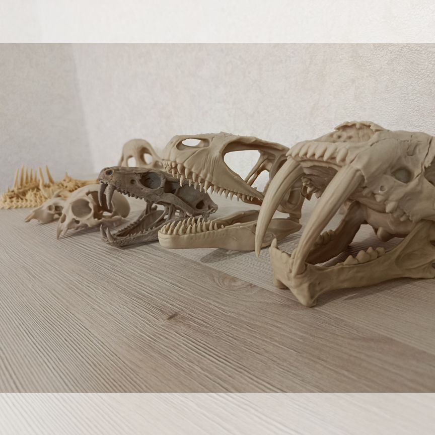 Декорации для террариума