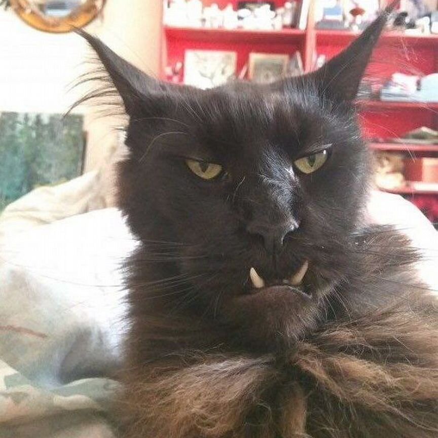 Колдовской