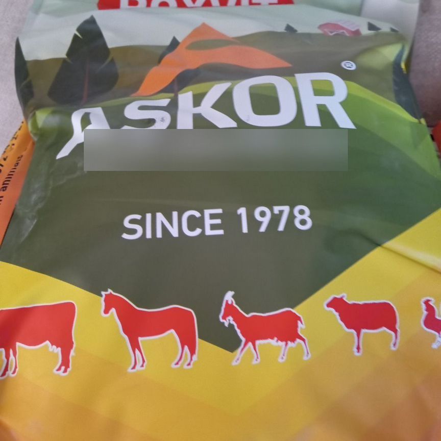 Аскор откорм крс мрс