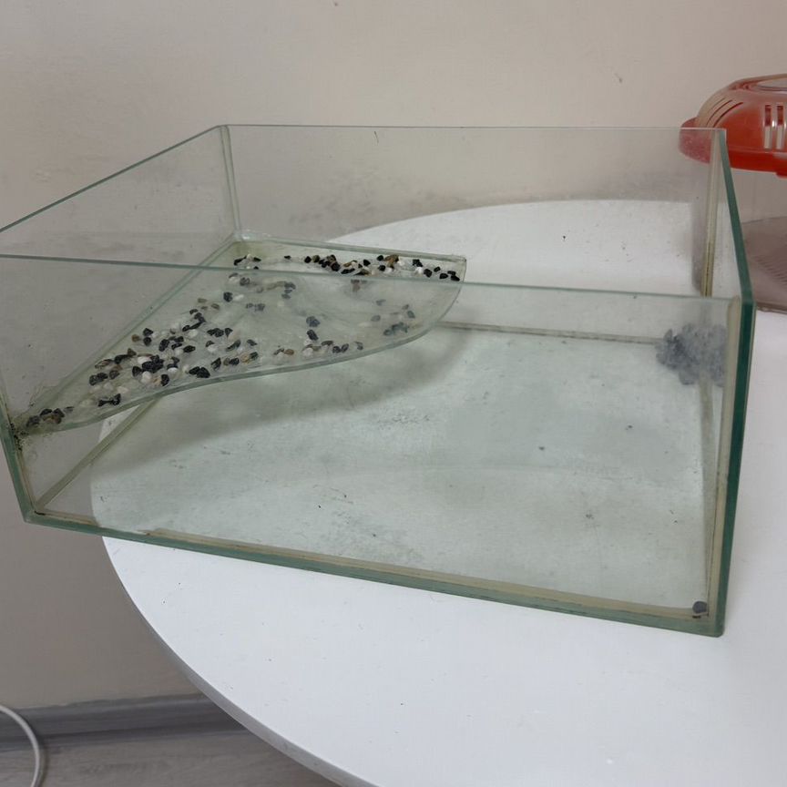 Черепашник