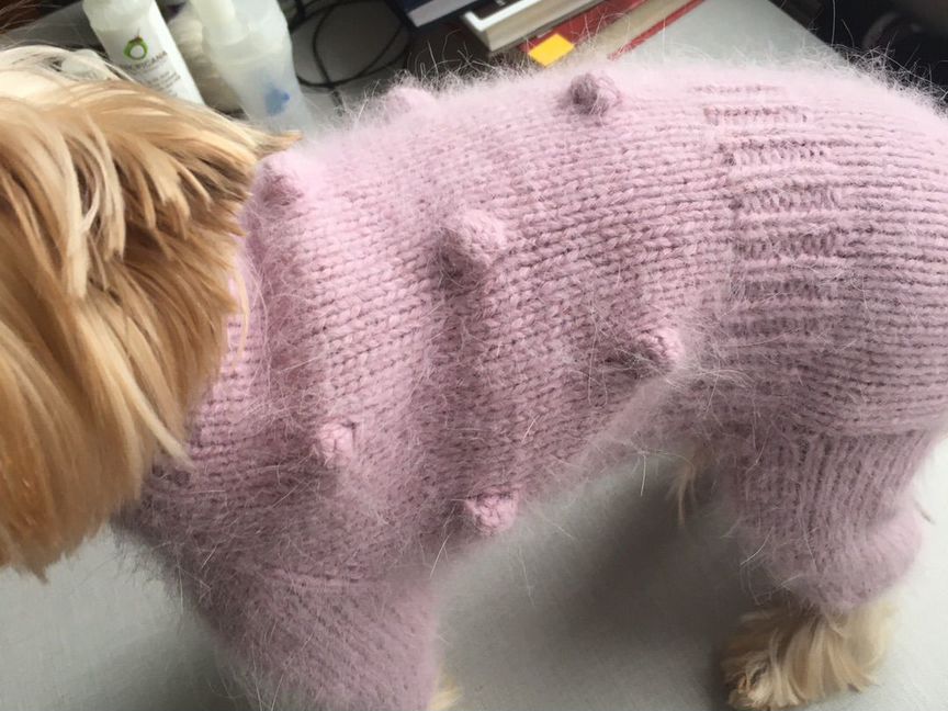 Вязанный комбинезон для собаки