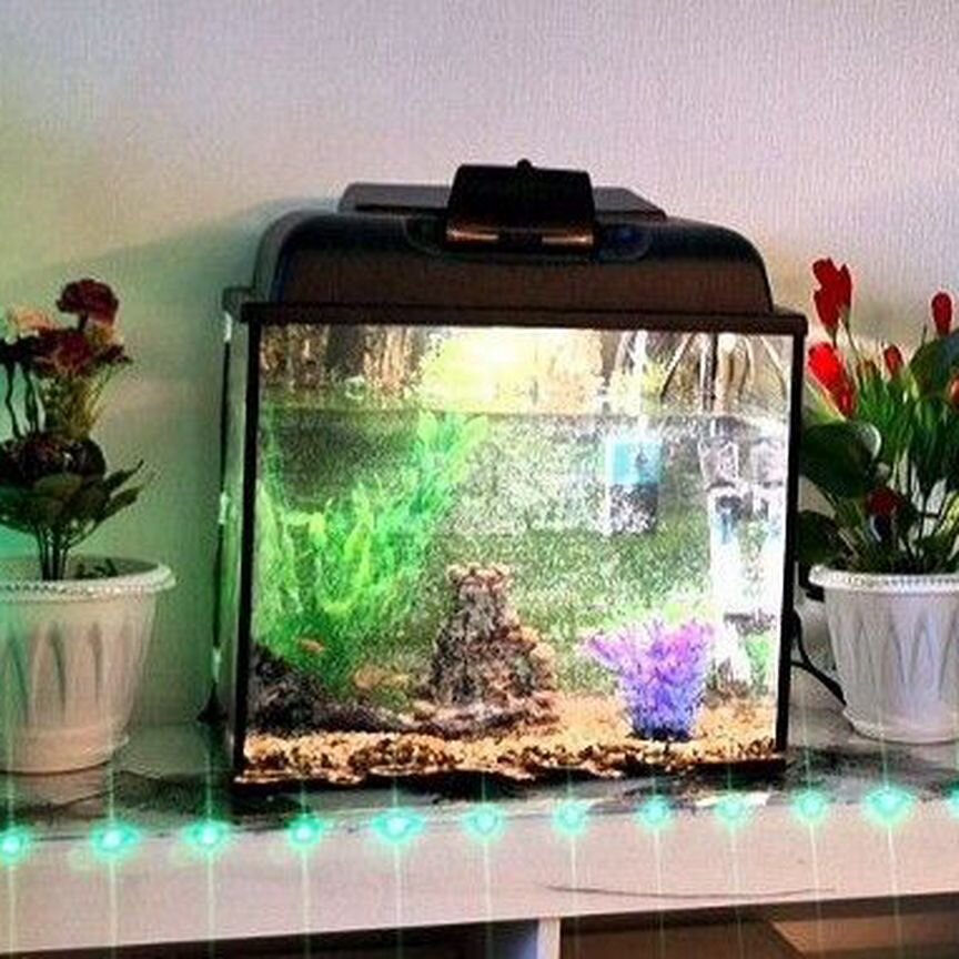 Аквариум для рыб
