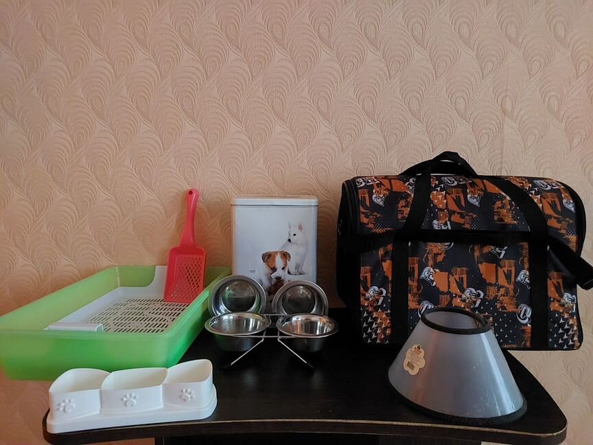 Всё для котёнка или собачки