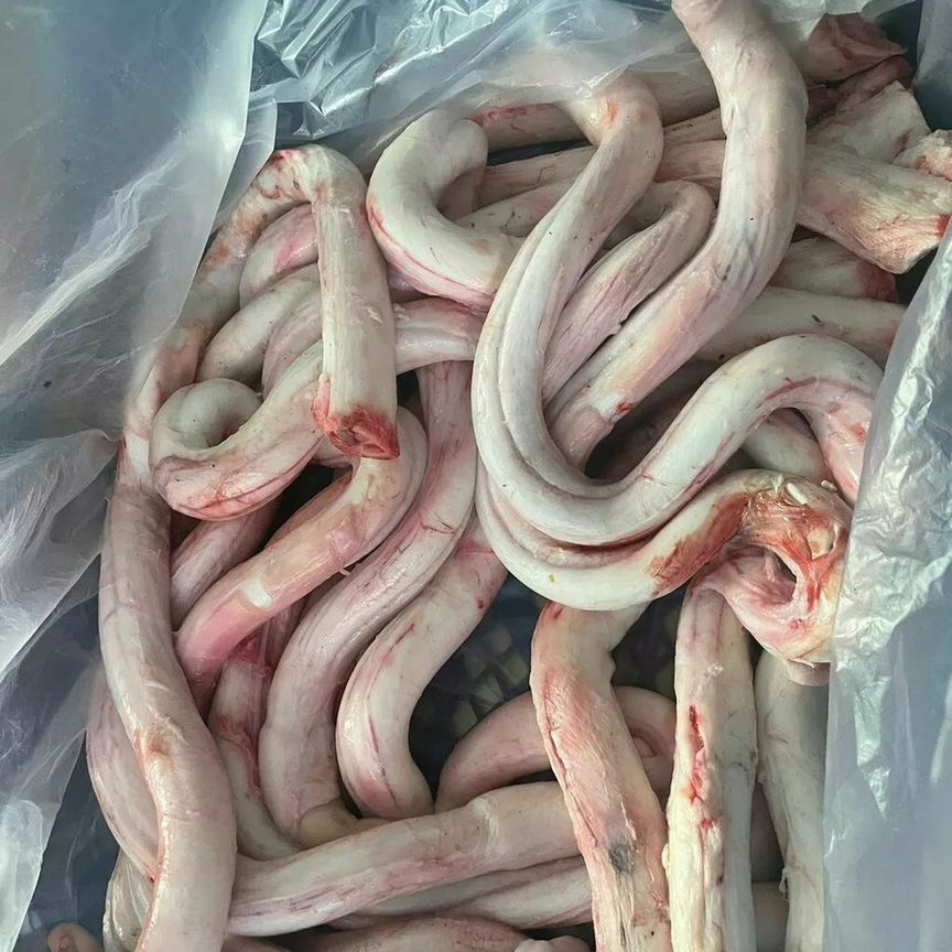 Бычий корень для собак