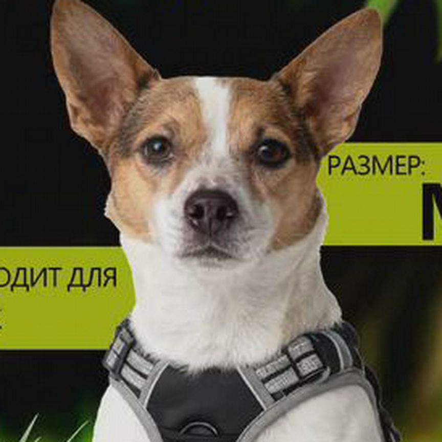 Шлейка для собак средних пород