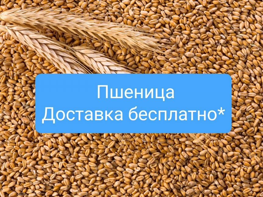 Пшеница в мешках