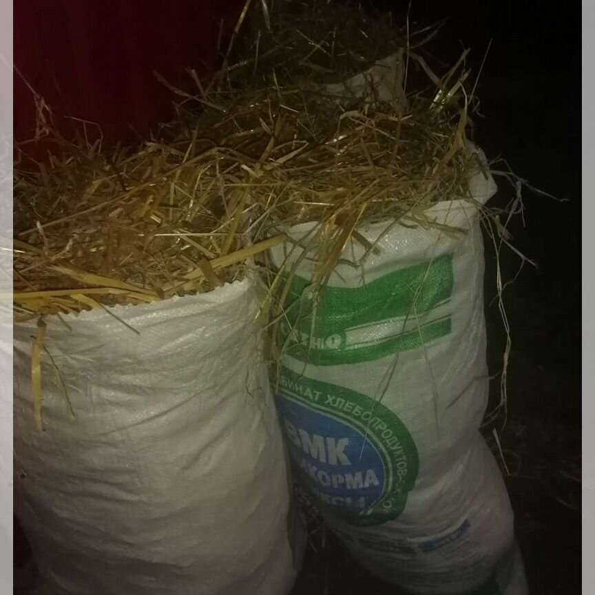 Солома овсяная