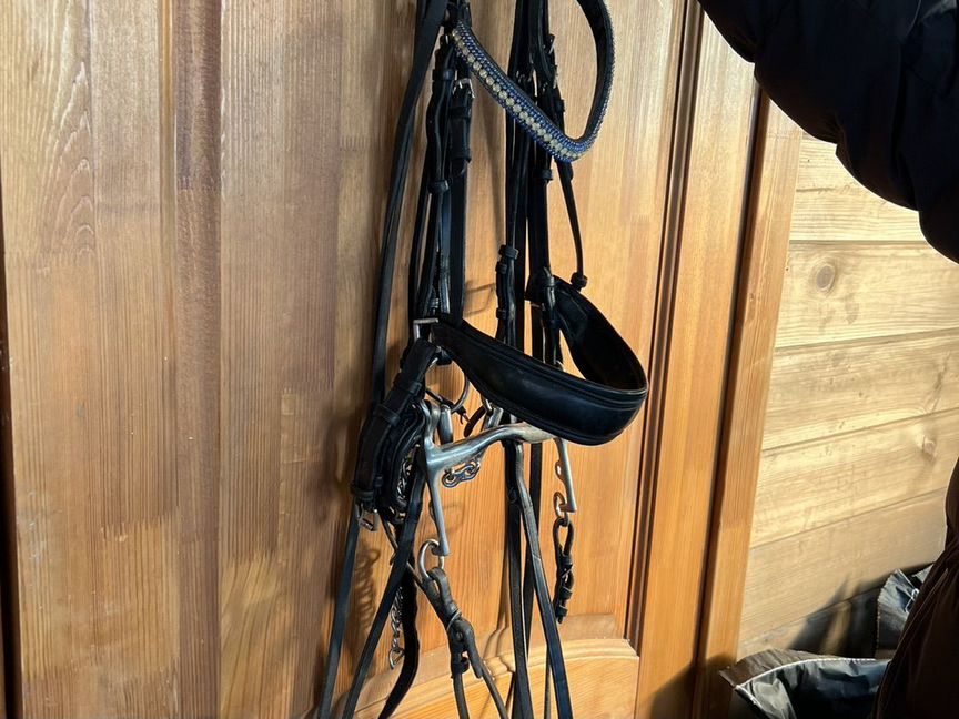 Оголовье Dyon