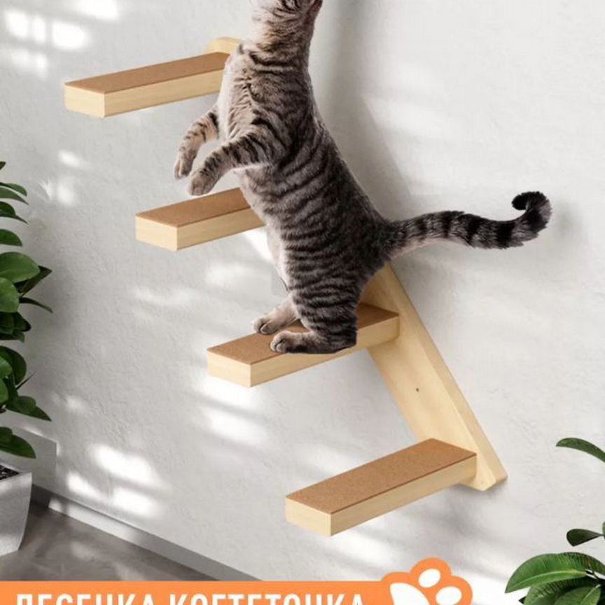 Когтеточка- лесенка