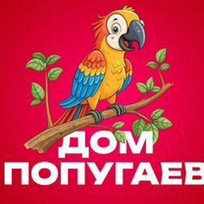 Передержка попугаев