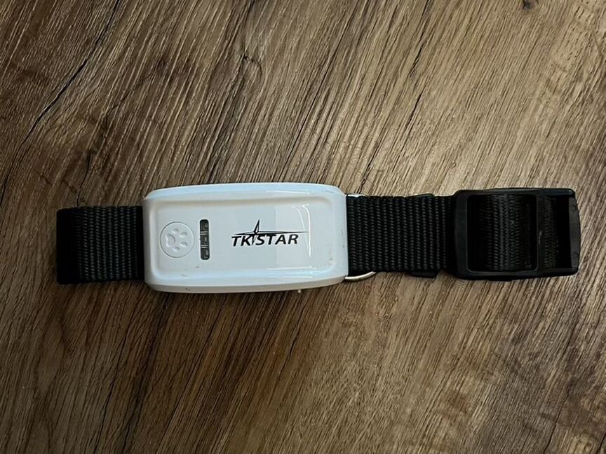 Gps ошейник для собак