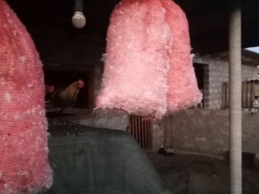 Пух перо гусиное