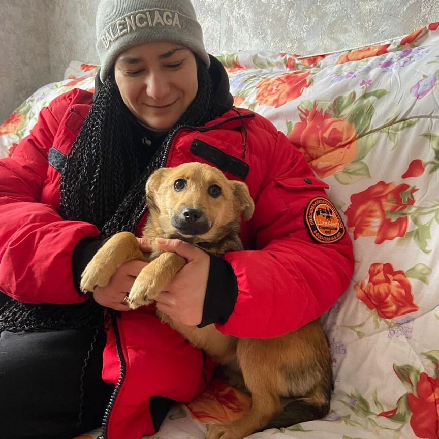 Щенулька для вас