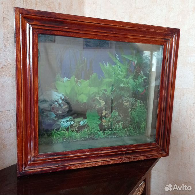 Аквариум - картина