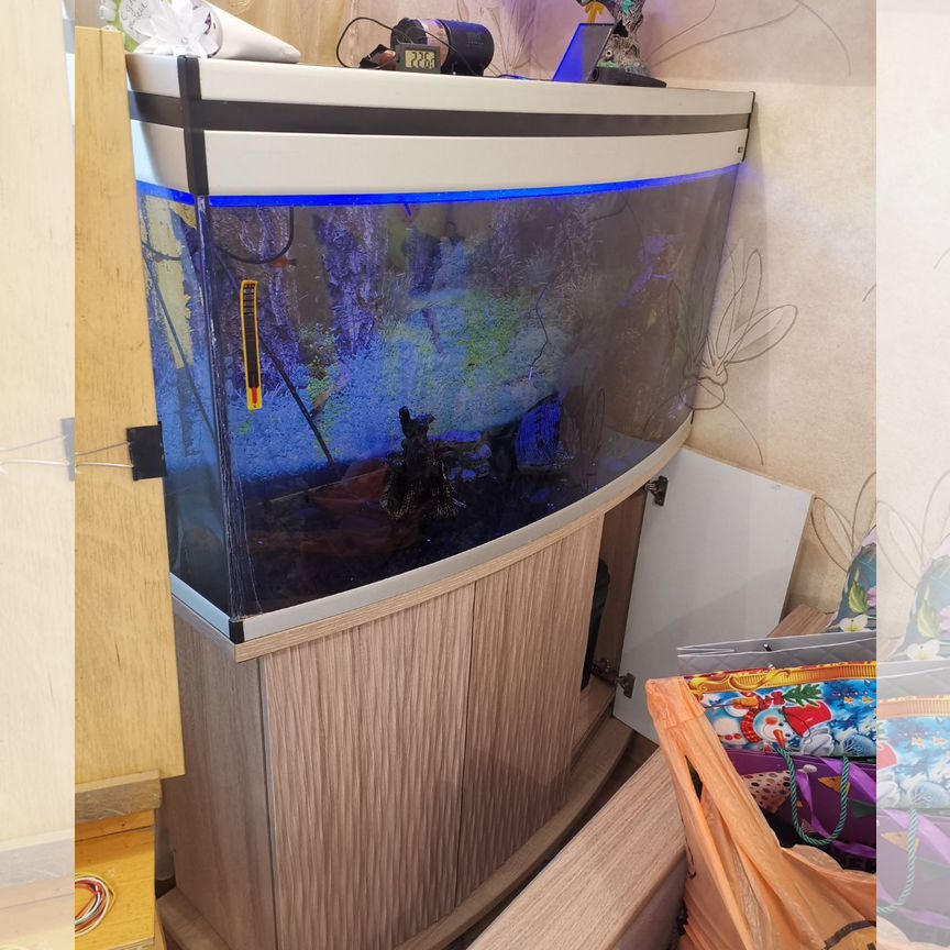 Аквариум aquael 100 фигурный