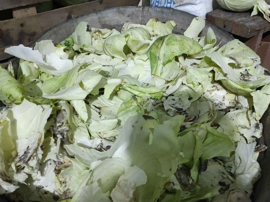 Листья капусты