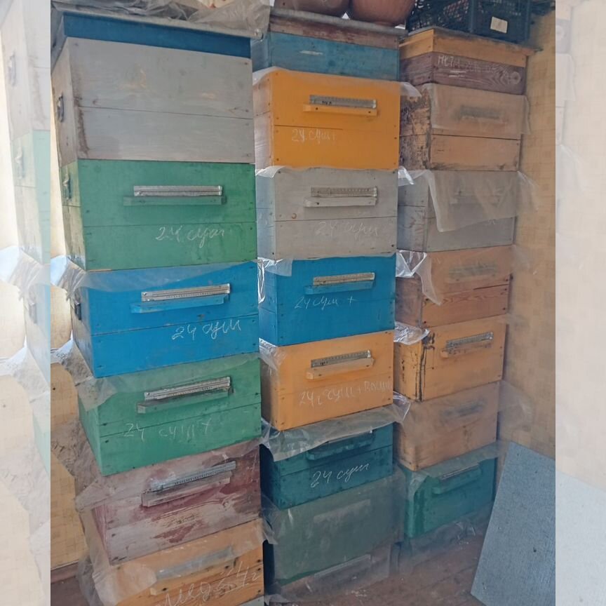 Улей 12 рамочный б. у