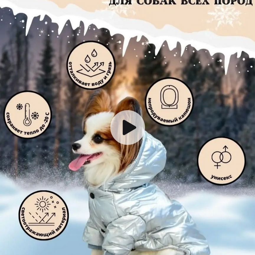 Зимний комбинезон для маленькой собаки