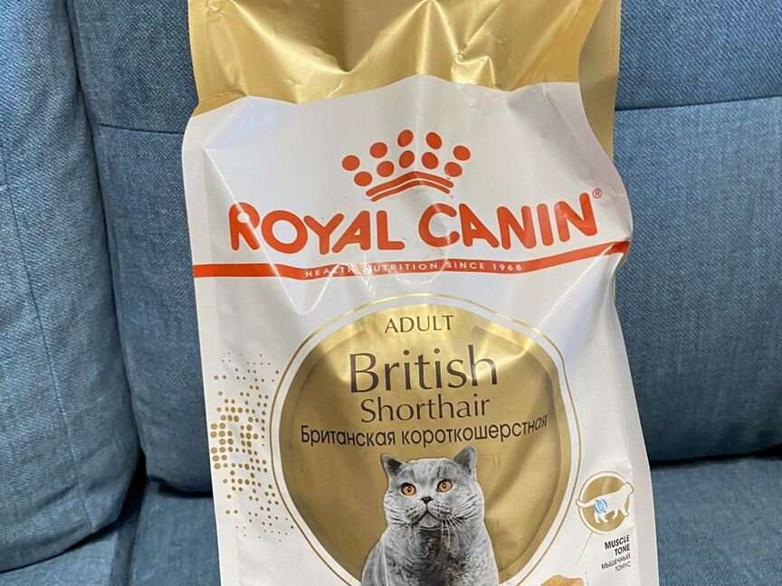 Корм для кошек RC British Shorthair (Adult)