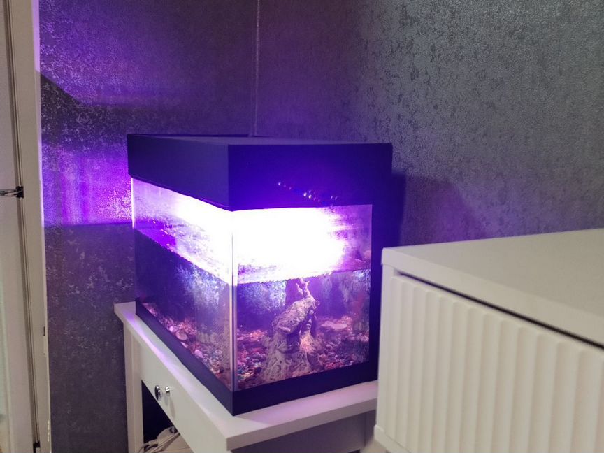 Аквариум с рыбками