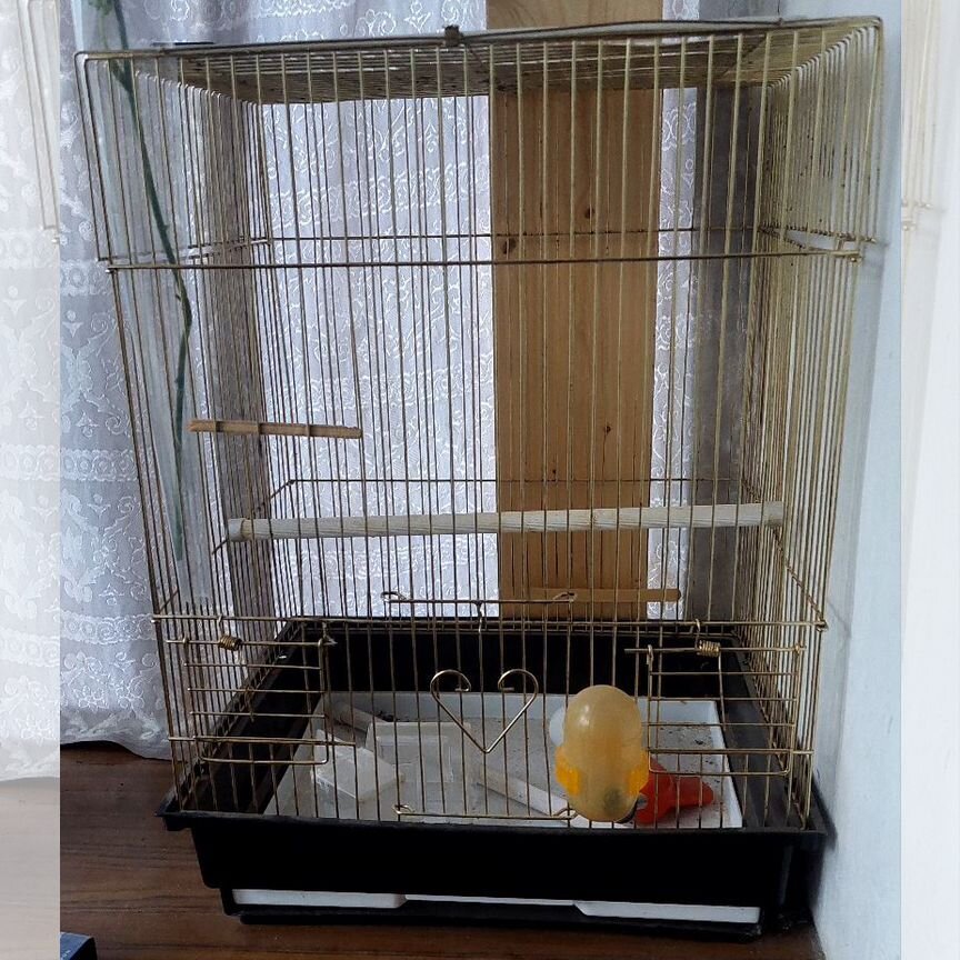 Клетка доя попугая, птичек,4535