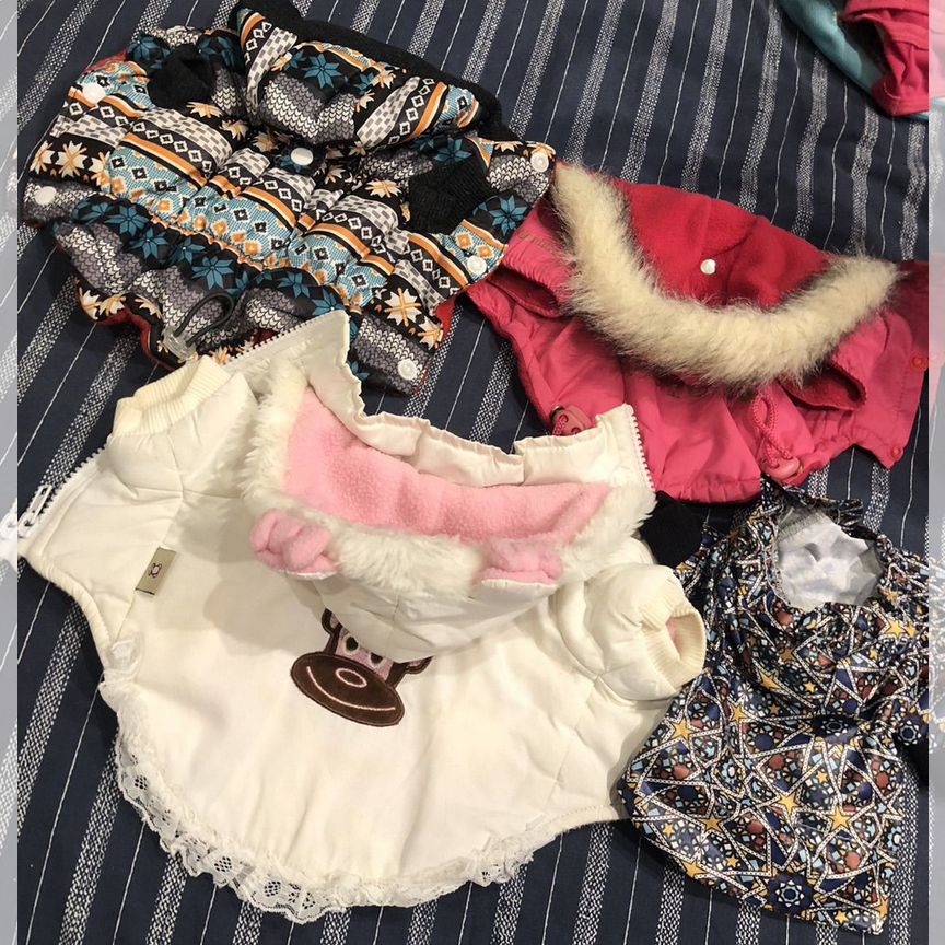 Одежда для маленьких собак пакетом