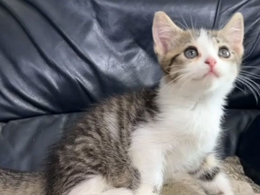 Мальчик ищем дом