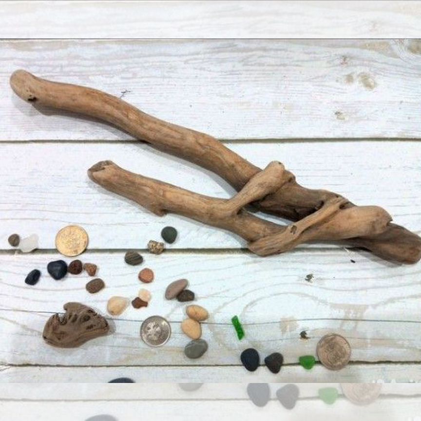 Дрифтвуд Флоррариум. Коряги