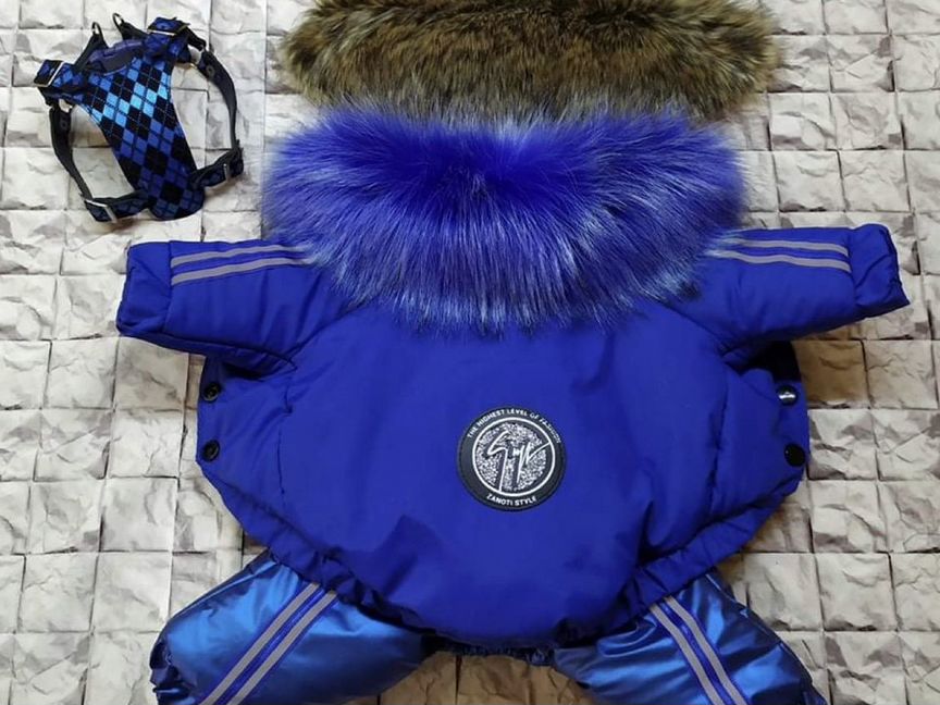 Одежда для маленькой собачки