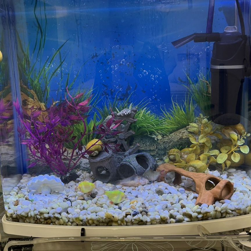 Аквариум белый 30л barbus aquarium 047