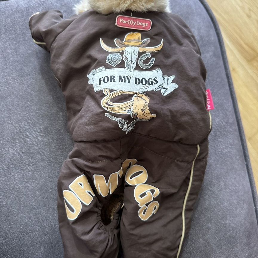 Костюм для щенка мелких пород