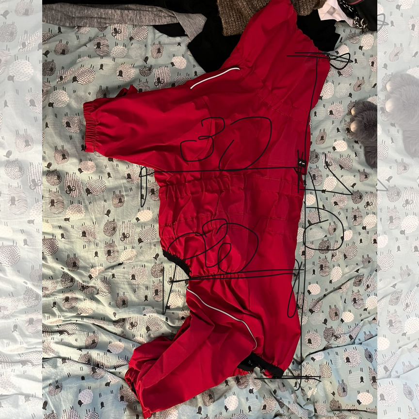 Комбинизон демисезон для собак