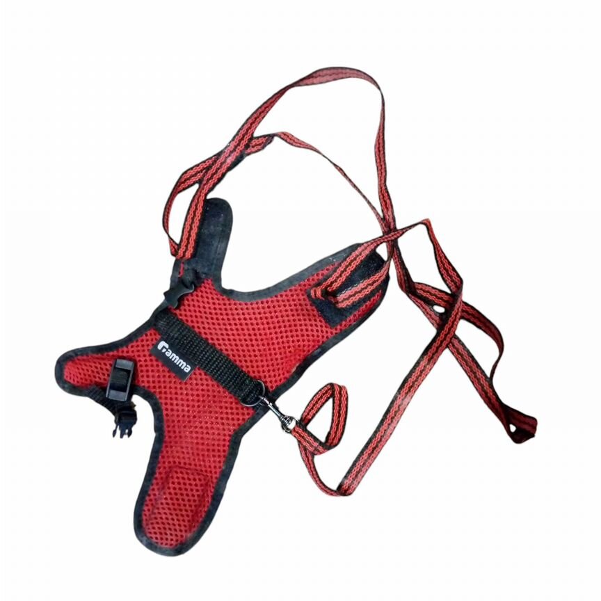 Шлейка для грызунов