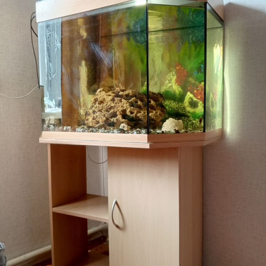 Аквариум с тумбой 150л
