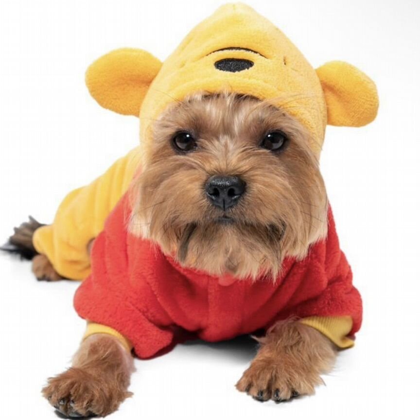 Костюм Disney для собак