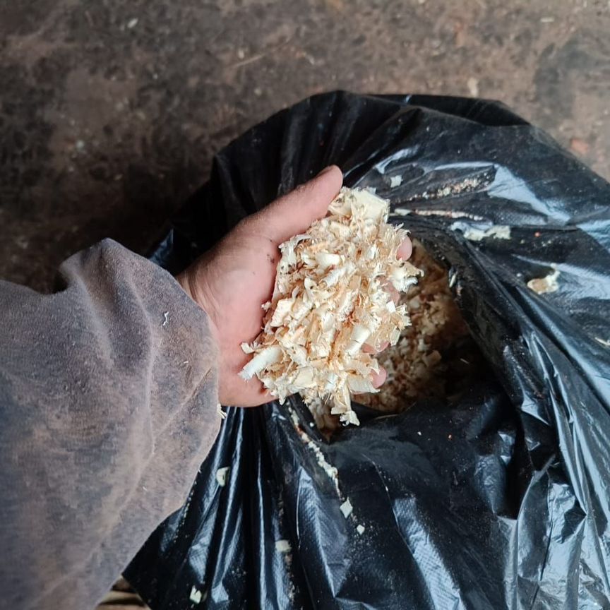 Стружка древесная хвойных пород (сухая)