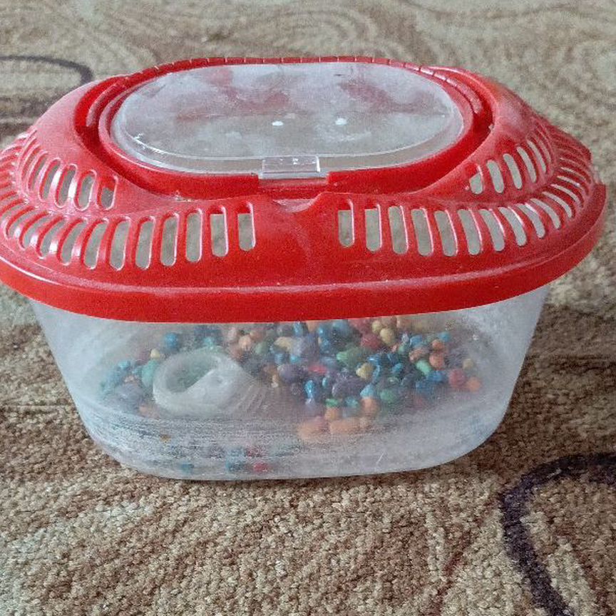 Маленький аквариум для черепашки