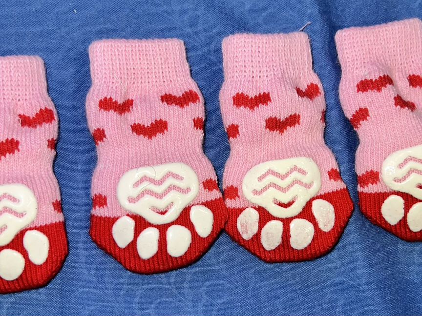 Носочки для собачки