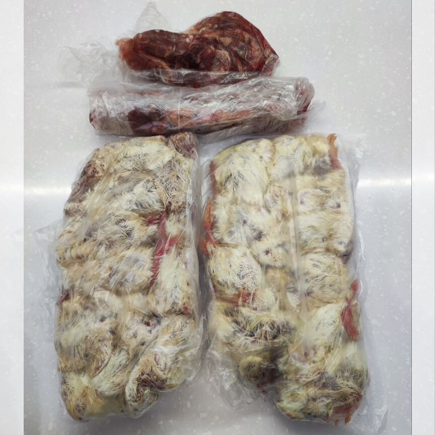 Цыплята суточные заморозка