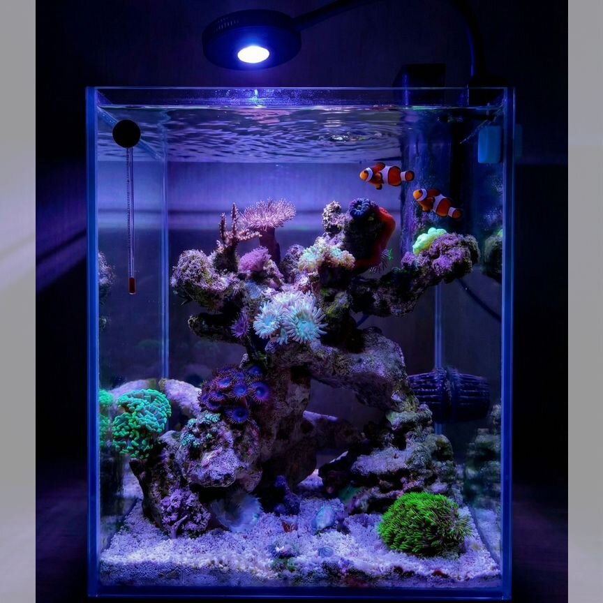 Вода для запуска морских аквариумов