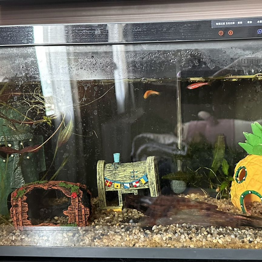 Умный аквариум с рыбками