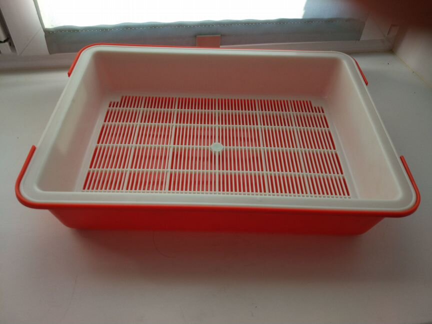 Туалет лоток для кошек +когтерезы и расчески