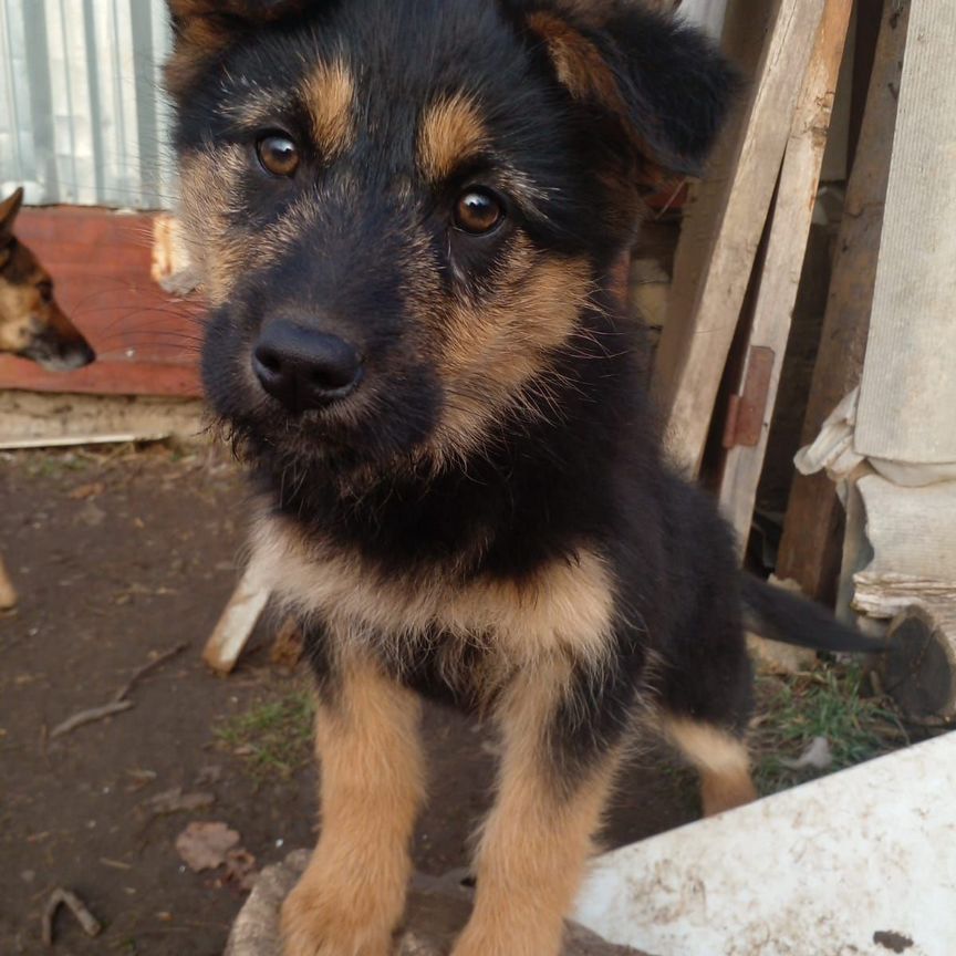 Я Манюнечка