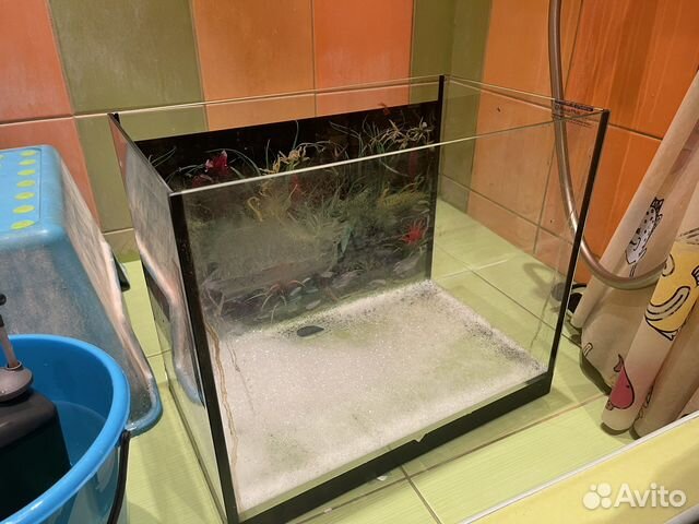 Аквариум 40 л с рыбками бесплатно
