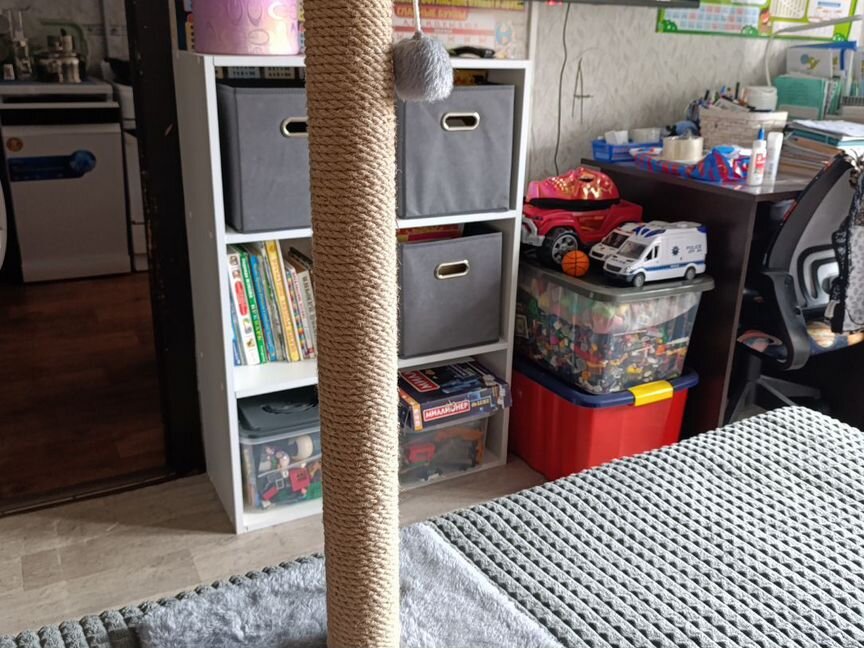 Когтеточка