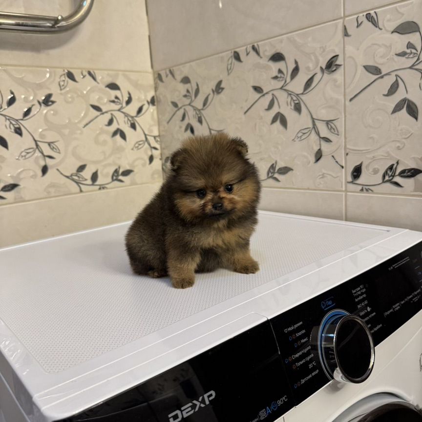 Супер куколка