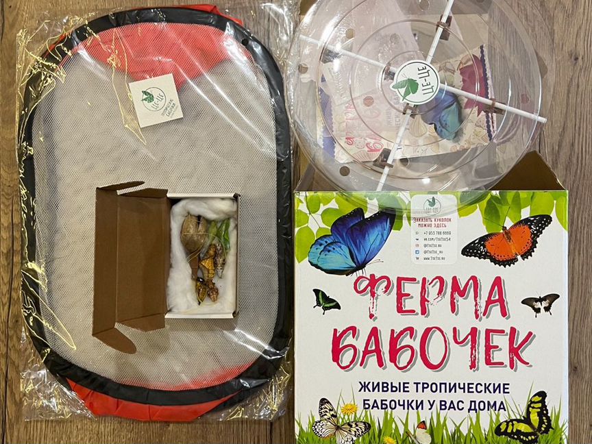 Ферма для бабочек