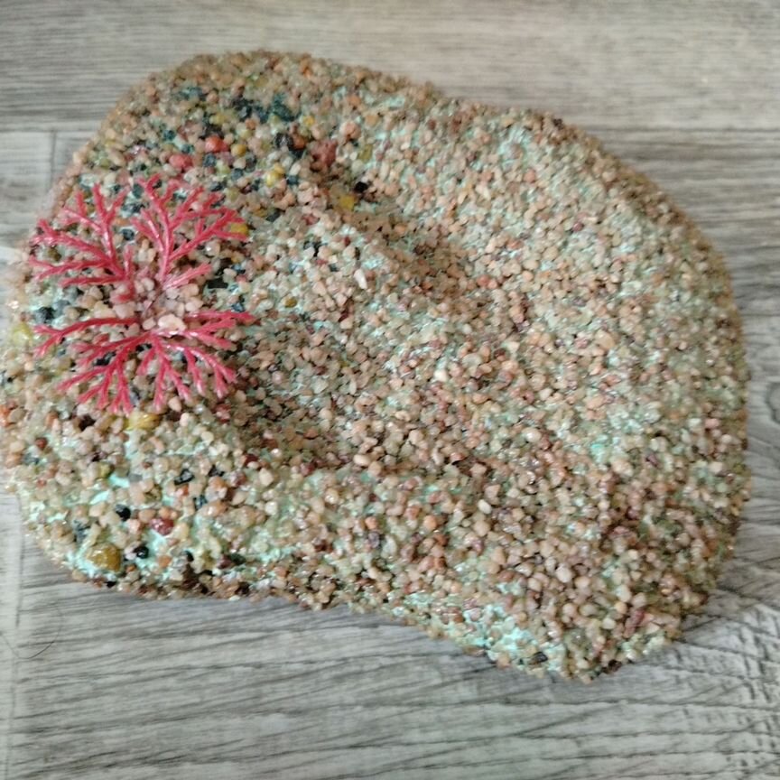 Бережок для черепахи