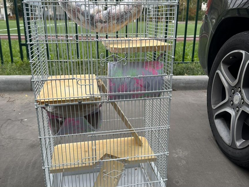 Клетка для крыс, белок